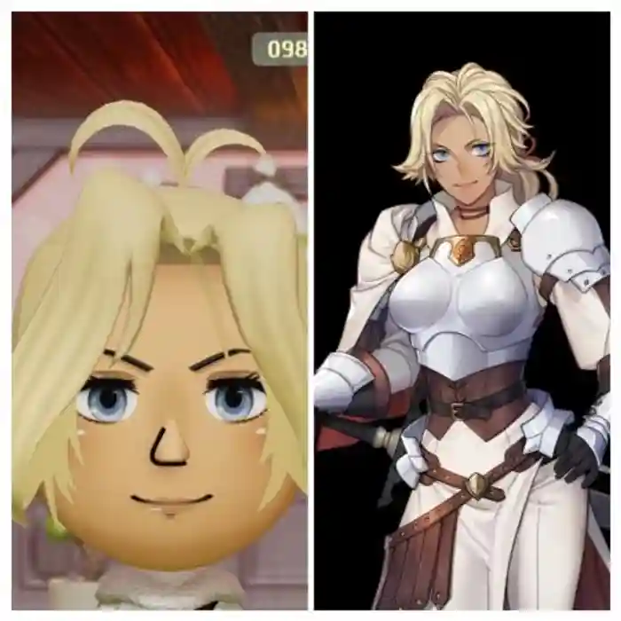 Miipedia - Catherine (Fire Emblem: Three Houses.)